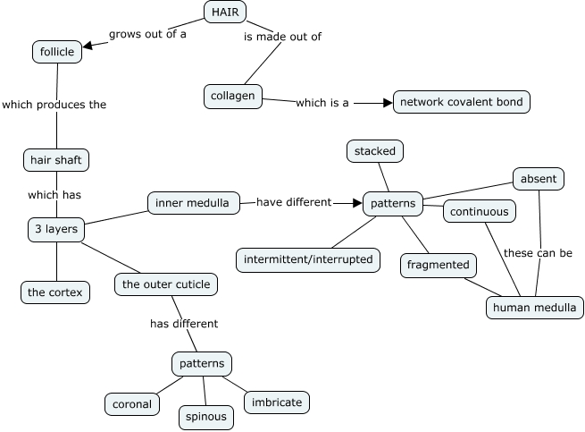 Hair structure C-Map